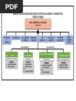 BDRRMC Structure | PDF | Security | Prevention
