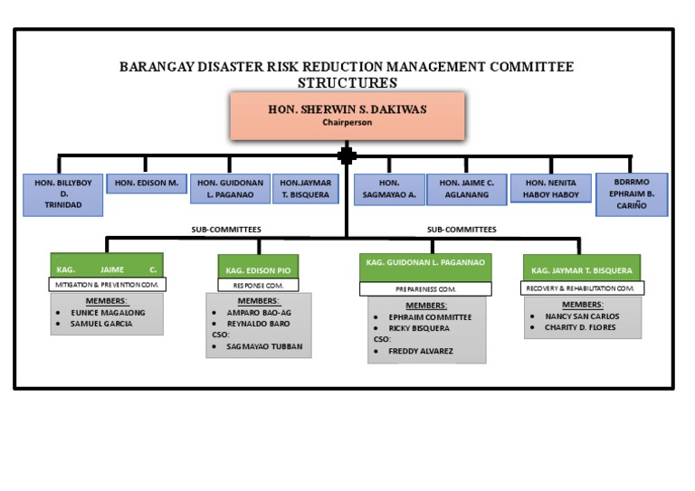 BDRRMC Structural Layout | PDF