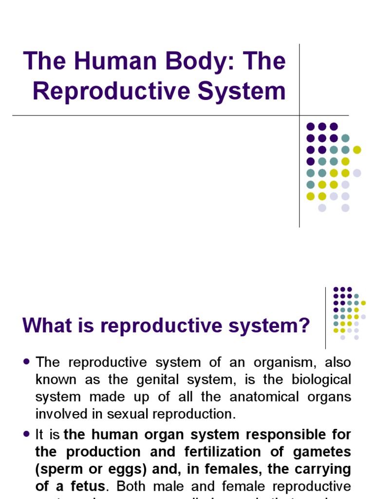 Reproductive System GRADE 10 SCIENCE 3Q | PDF | Reproduction ...