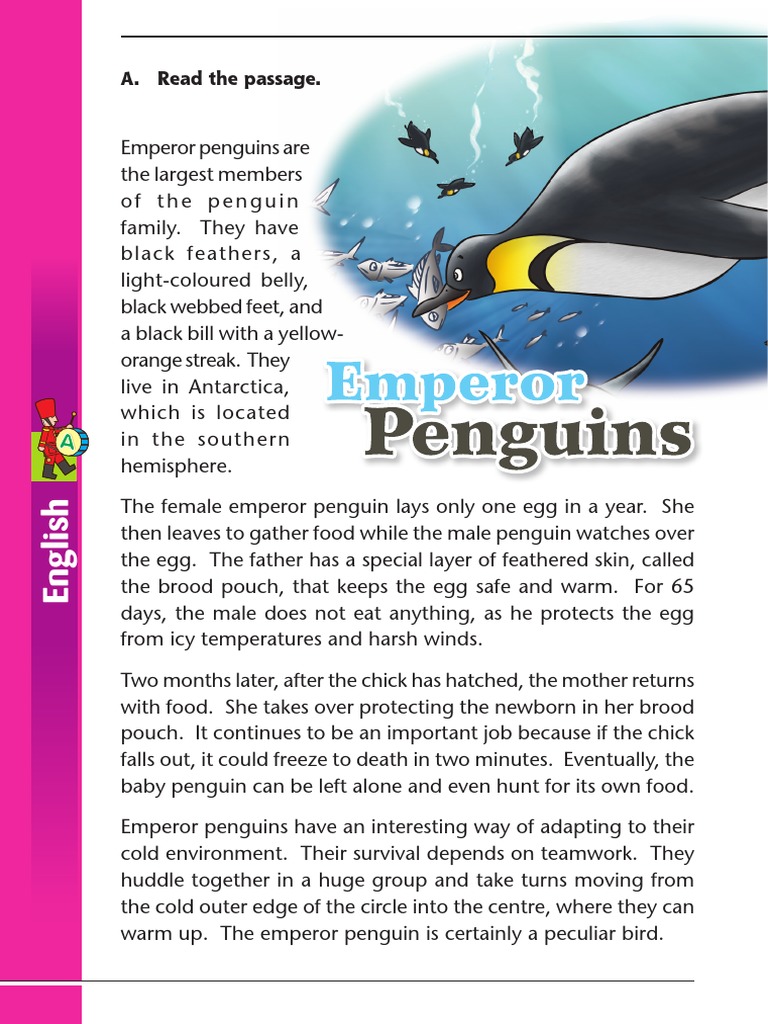 Grades 3-4 English 1 | PDF | Penguin | Birds