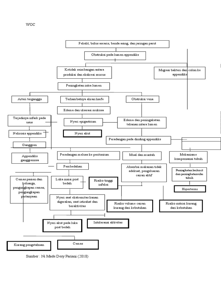 Pathway Woc Appendisitis Nancy | PDF