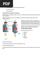 Myanmar CV Sample for Job Applications | PDF