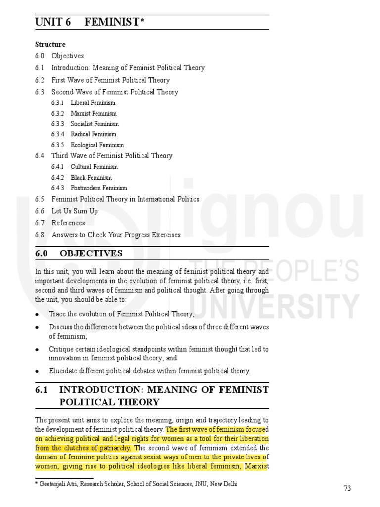 Feminist Approach To Political Theory | PDF | Feminism | Gender Studies