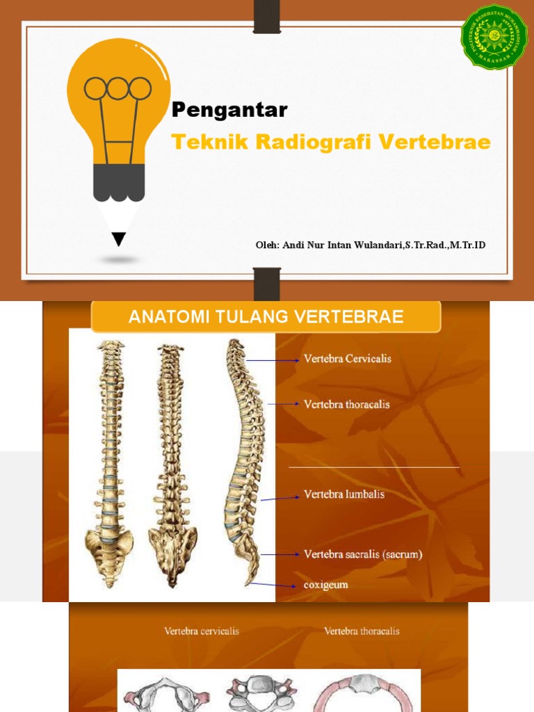 Pengantar Teknik Radiografi Vertebrae | PDF