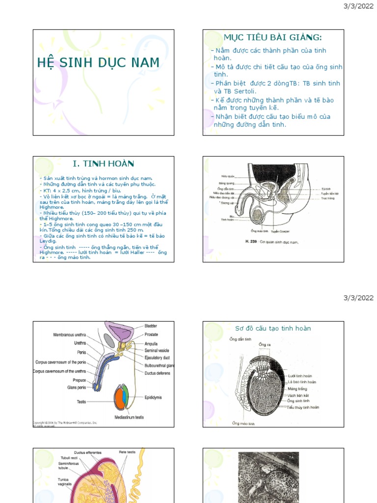12 He Sinh Duc Nam | PDF