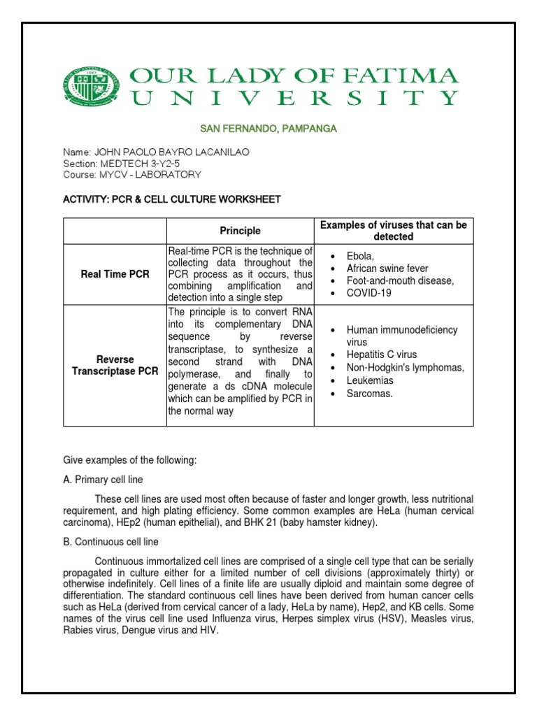 PCR & Cell Culture Worksheet | PDF | Polymerase Chain Reaction | Virus
