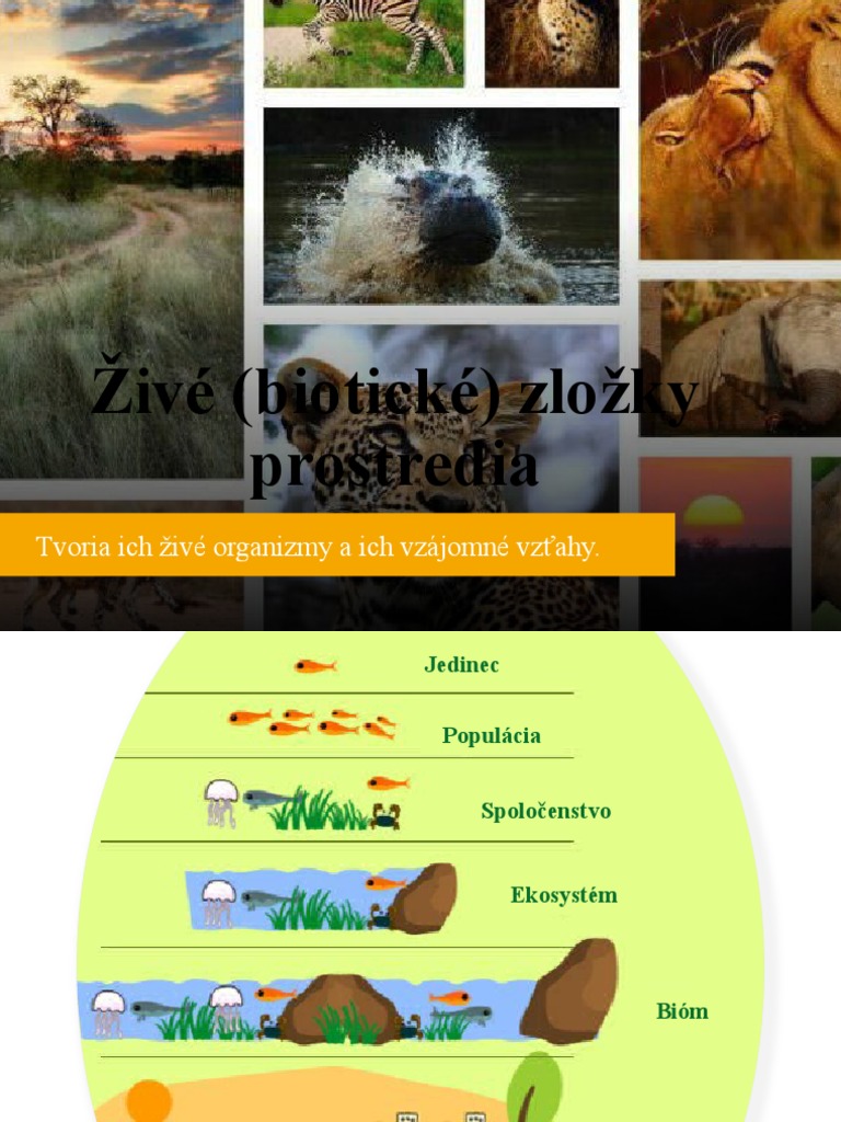 BIO 9 Zive Zlozky Prostredia | PDF