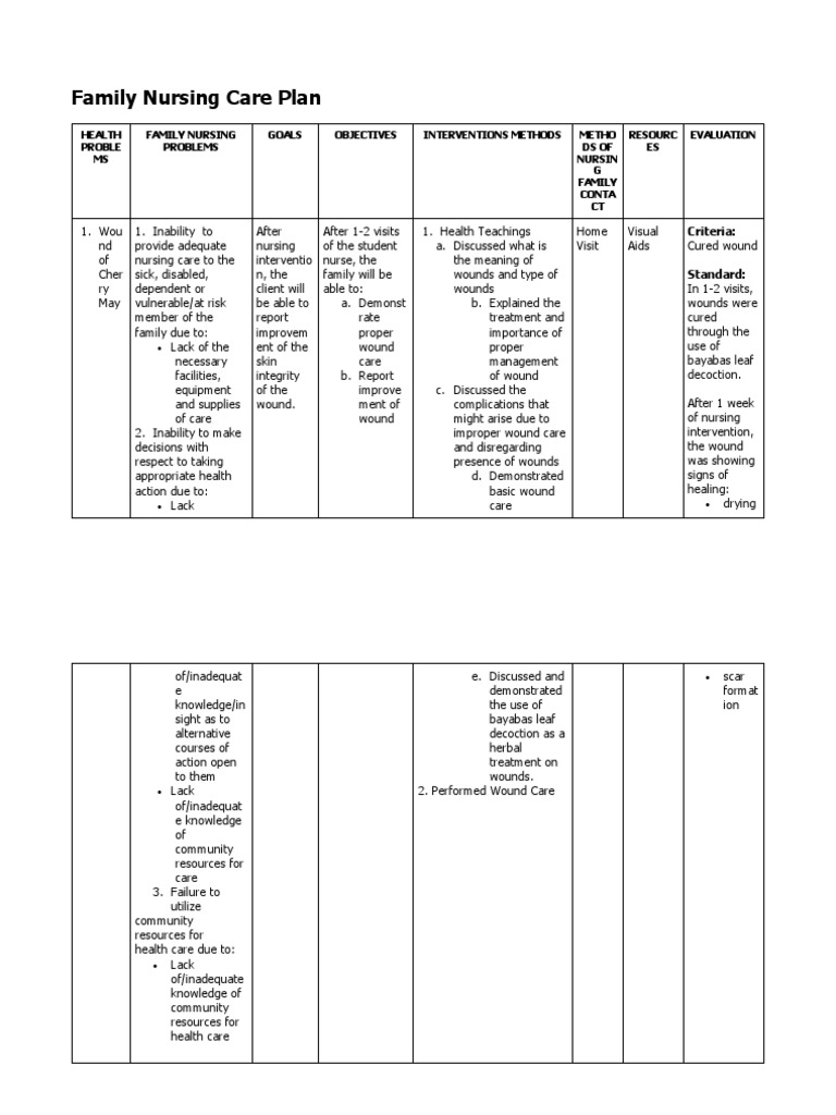 Family Nursing Care Plan | PDF | Hand Washing | Hygiene