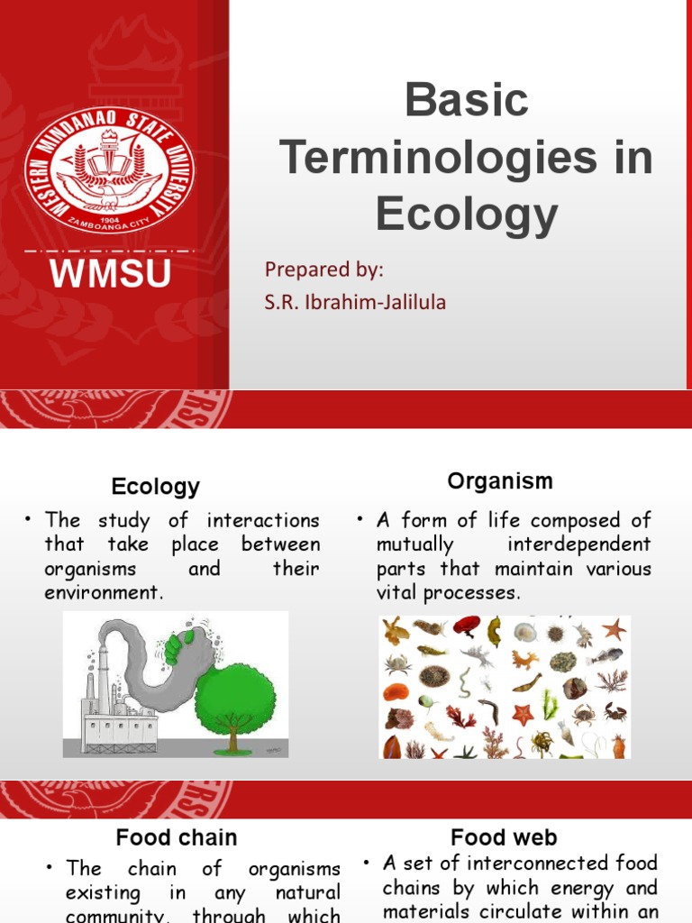 Introduction To Ecology and Forest Ecology | PDF | Ecology | Ecosystem