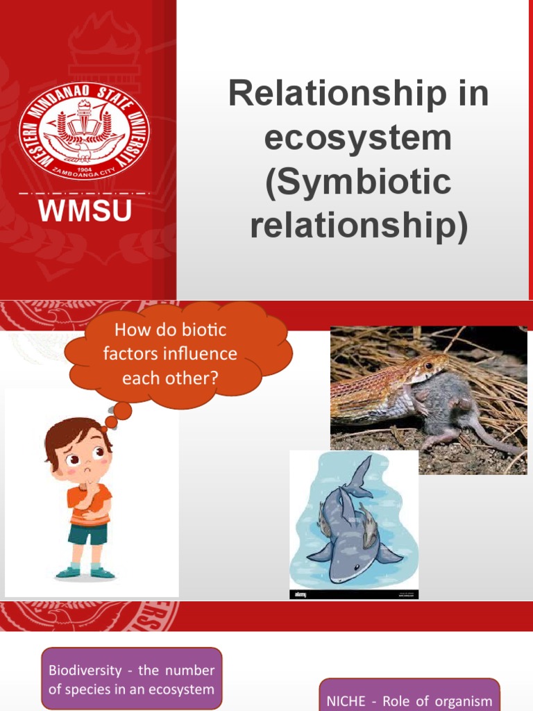 Relationship in Ecosystem Symbiotic Relationship | PDF | Symbiosis | Predation