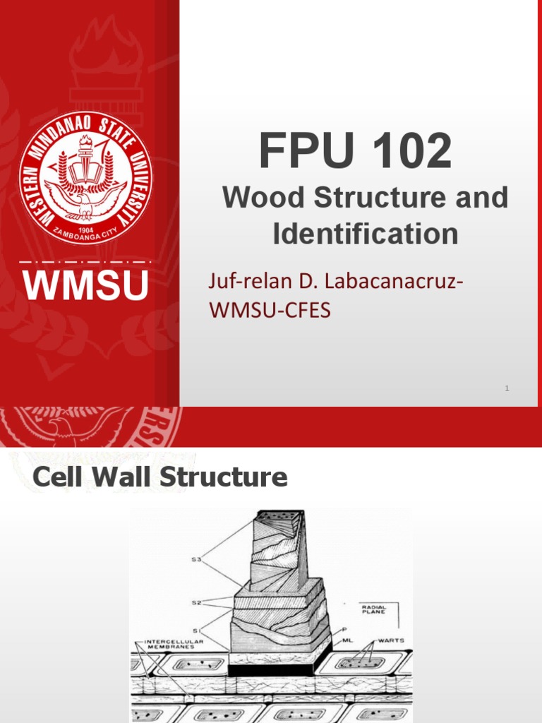 FPU 102 PPT. | PDF | Wood | Cell Wall