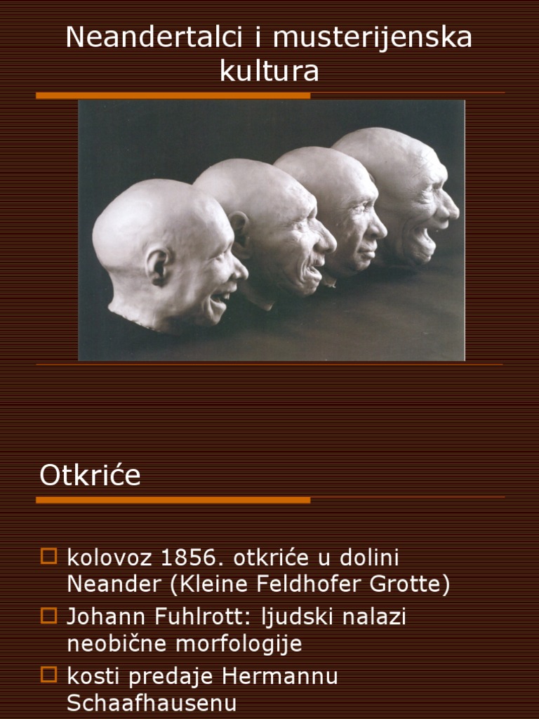 Neandertalci I Musterijenska Kultura 2022-23 Paleolitik FFZG | PDF