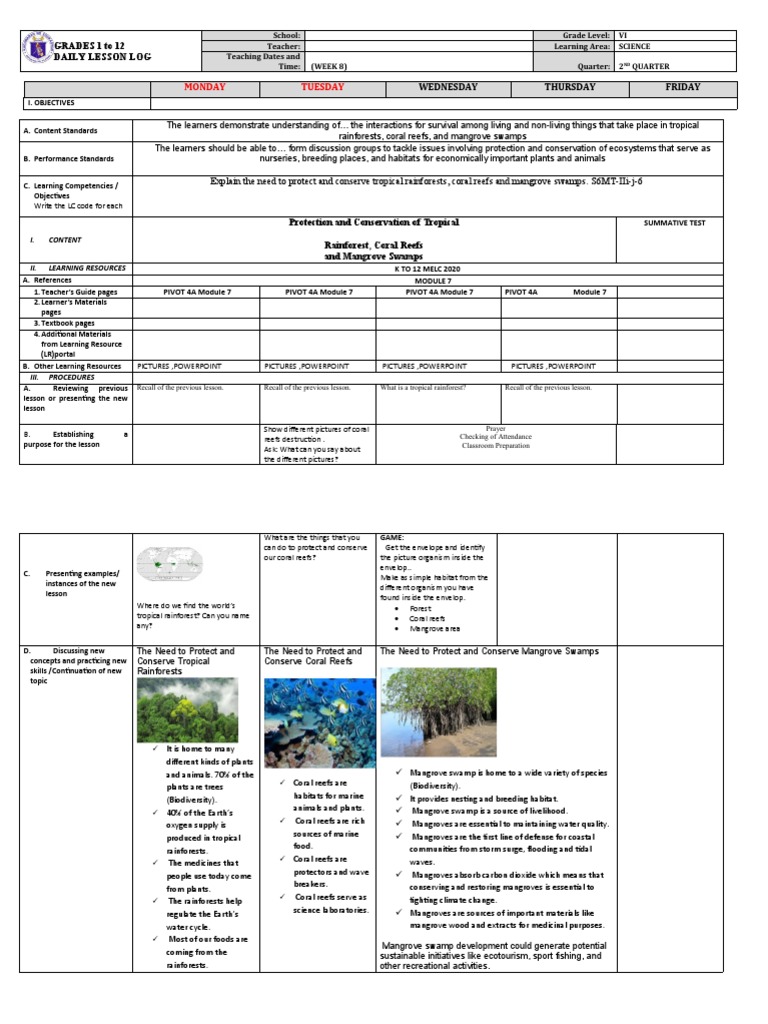 DLL Science-6 Q2 W8 | PDF | Mangrove | Rainforest