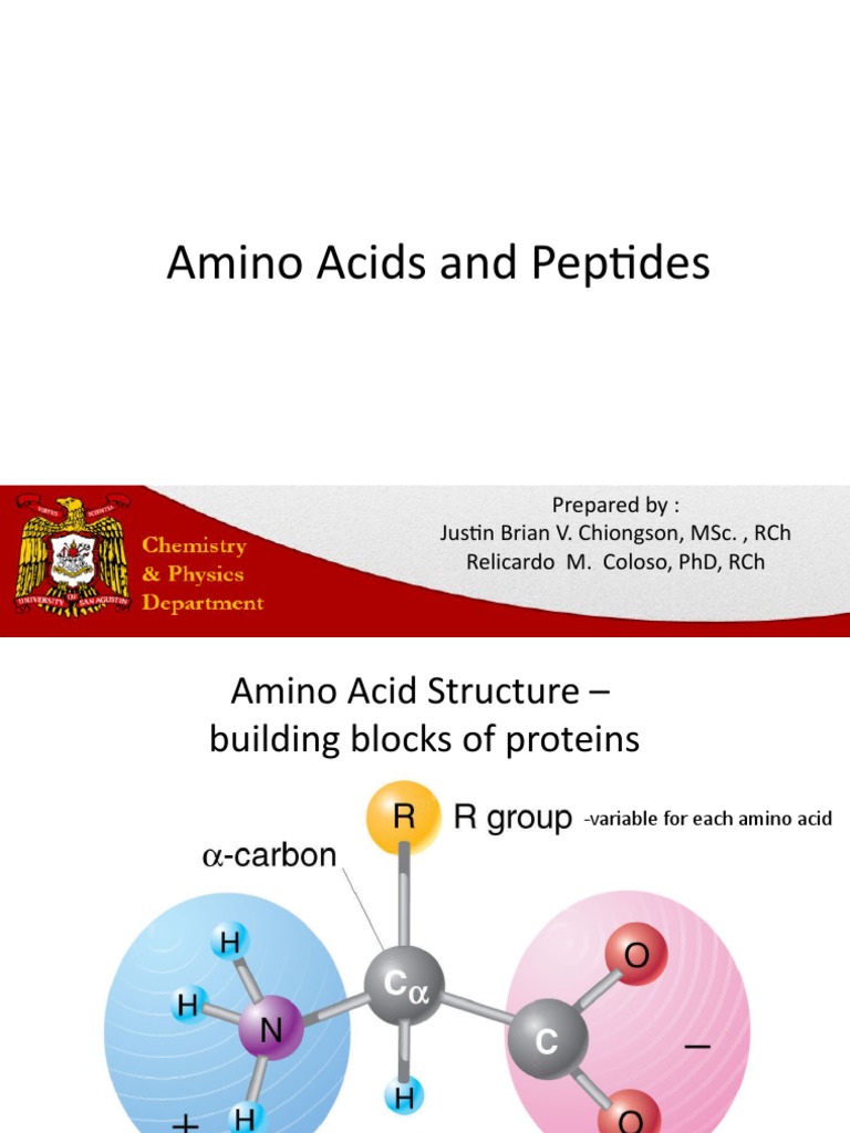 4 - Amino Acids and Peptides | PDF | Amino Acid | Acid