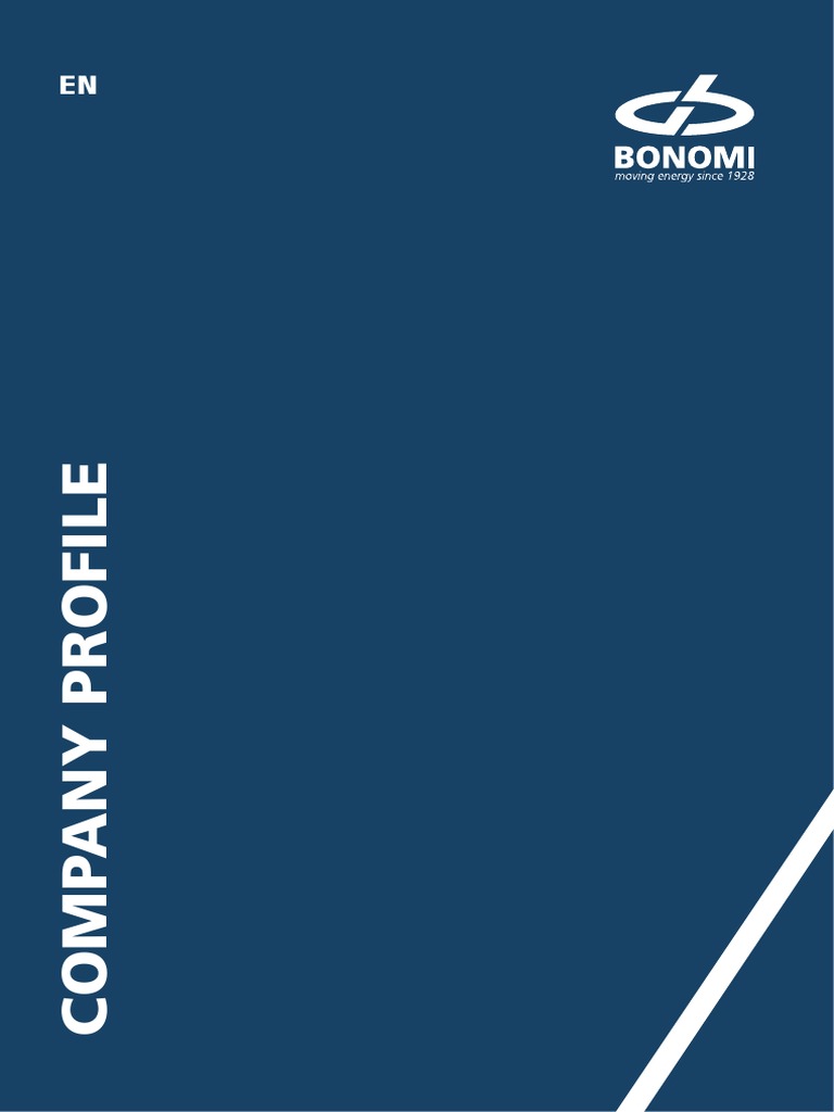 Company Profile | PDF | Electric Power Distribution | Electric Power ...