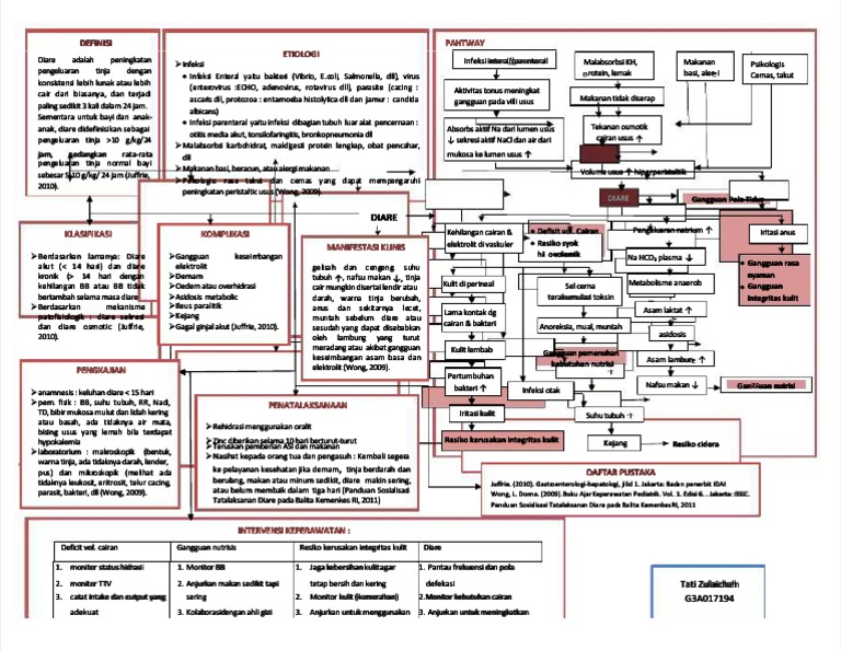 PDF Mind Map Diare Compress Compress | PDF