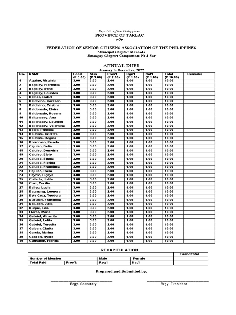 Republic of The Philippines | PDF