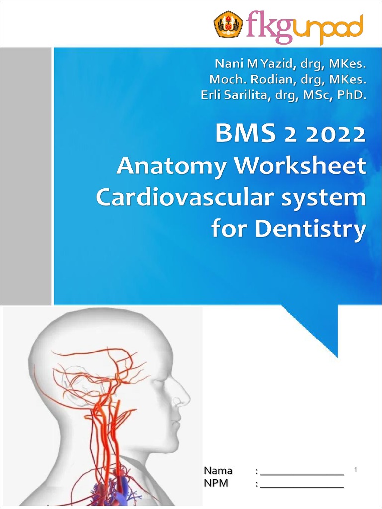 BMS 2 Topik 2 Worksheet 2022 | PDF | Common Carotid Artery | Vein
