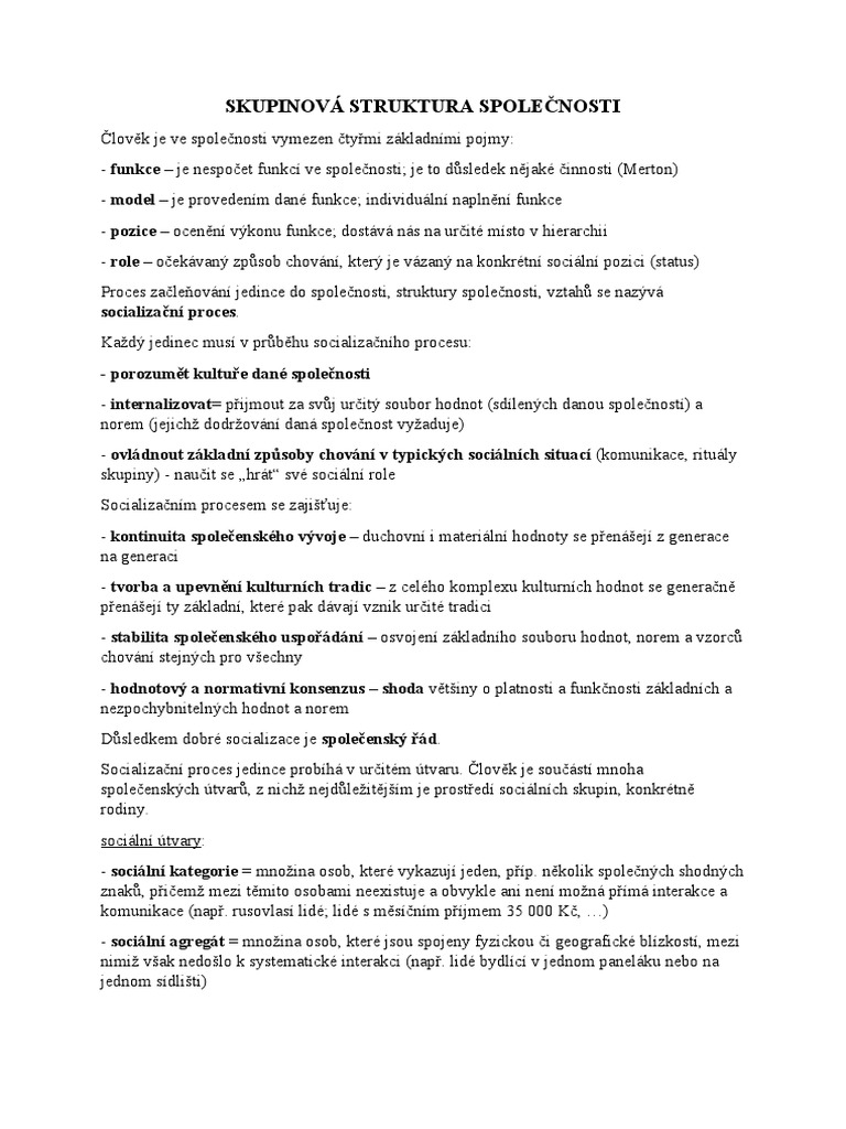 Skupinová Struktura Společnosti | PDF