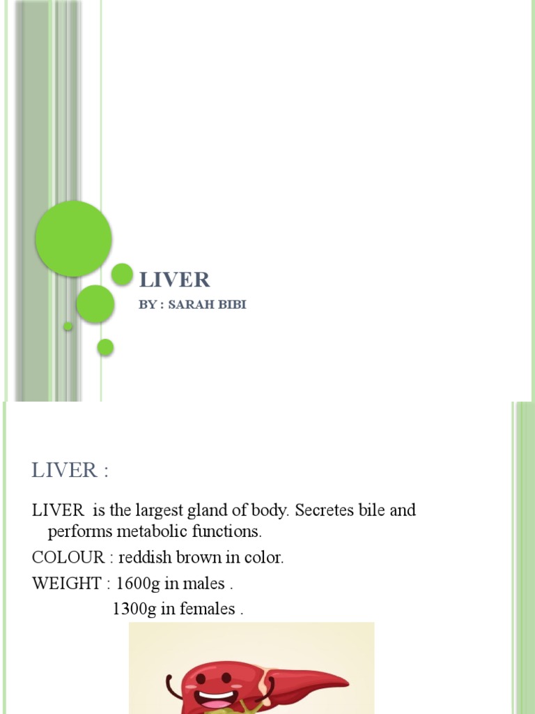 LIVER | PDF | Liver | Anatomy