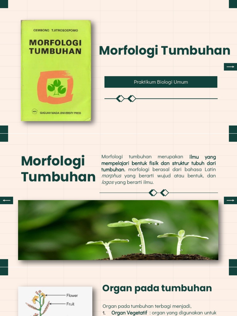 PPT Morfologi Tumbuhan | PDF
