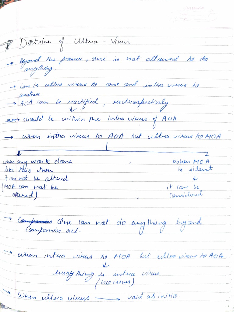 Company Law Notes | PDF
