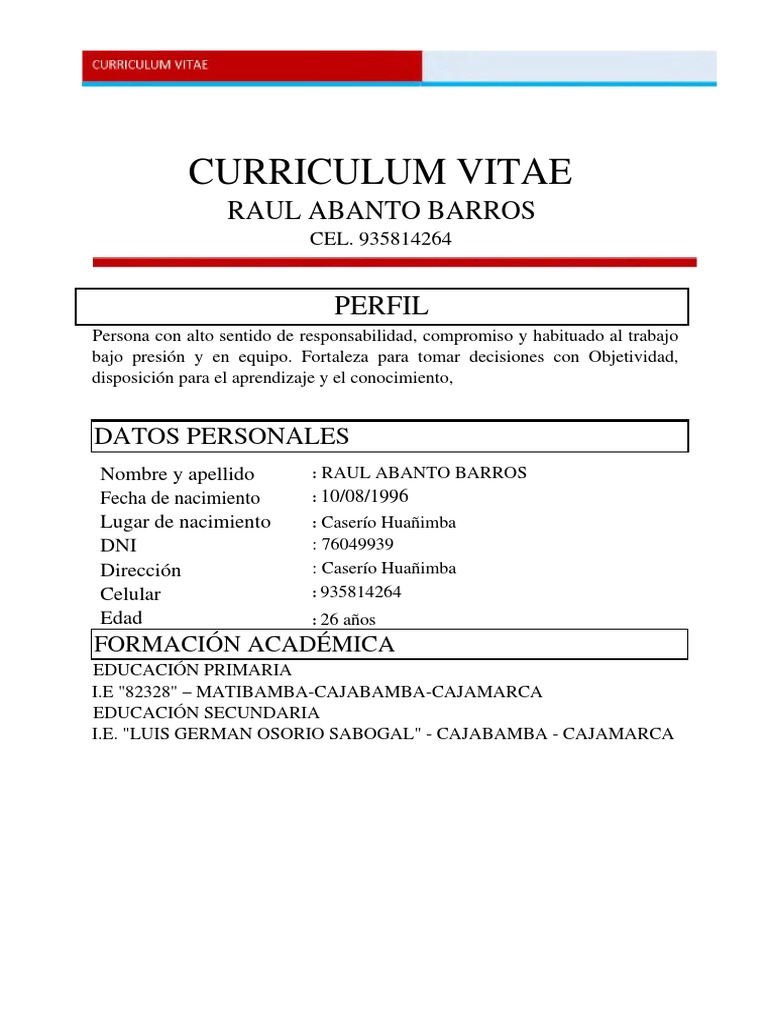 Curriculum Vitae Raul | PDF