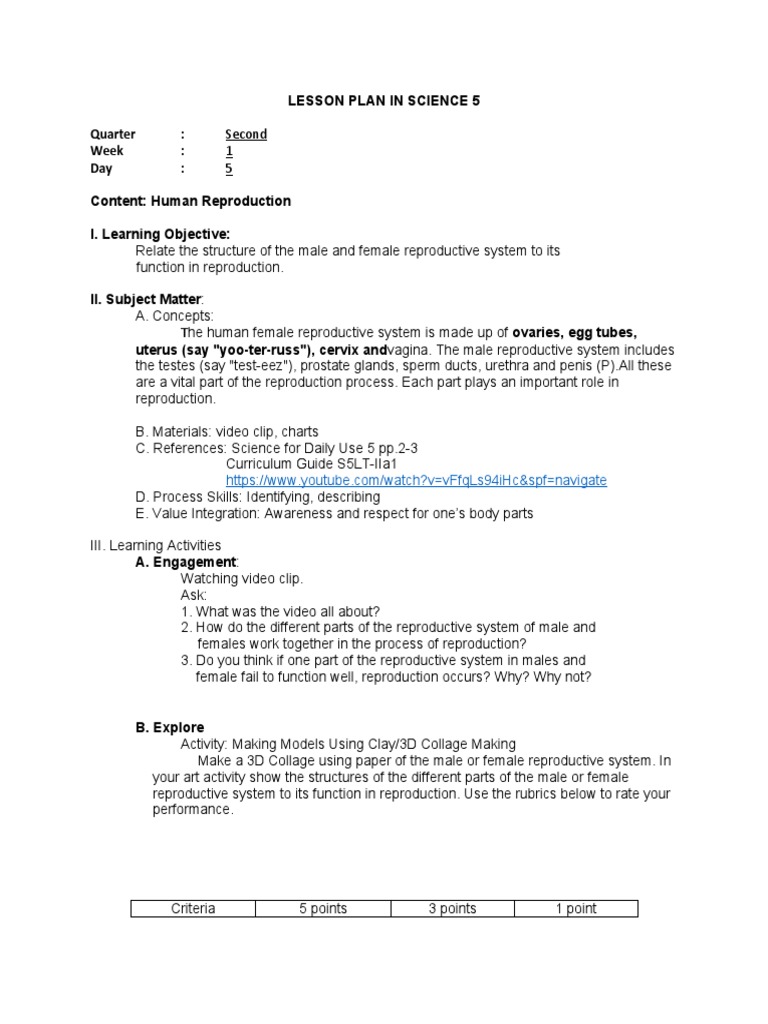 Human Reproduction Lesson Plan | PDF | Reproductive System | Human ...
