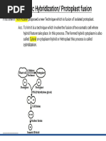 Rosie The Transgenic Cow | PDF