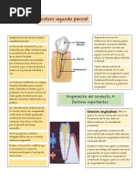 Curva de Spee y Wilson | PDF | Ortodoncia | Odontología