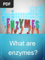 BIM BEP Example | PDF | Building Information Modeling | Autodesk Revit