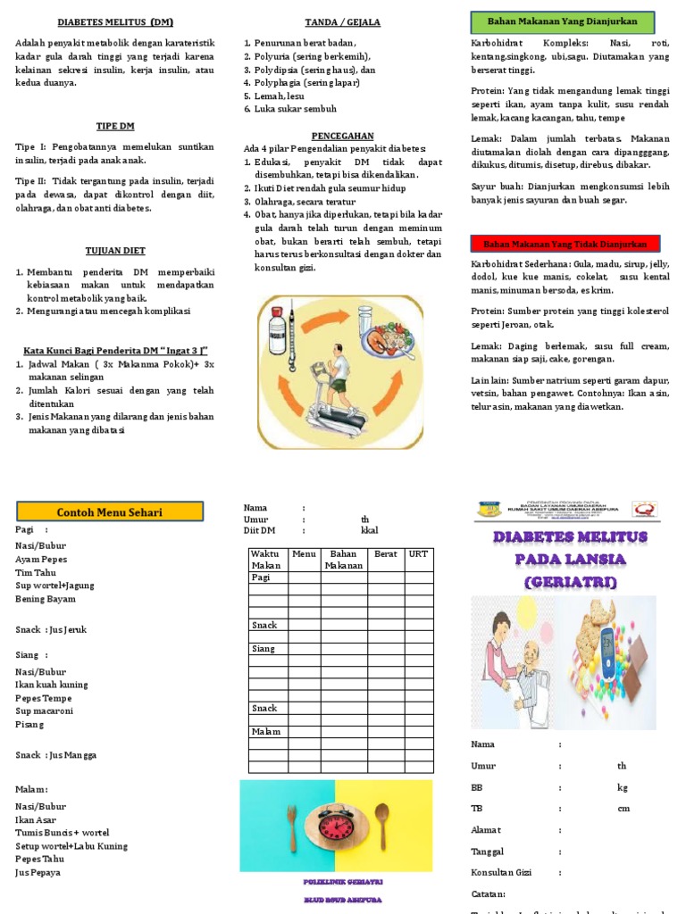 Leaflet DM Lansia | PDF