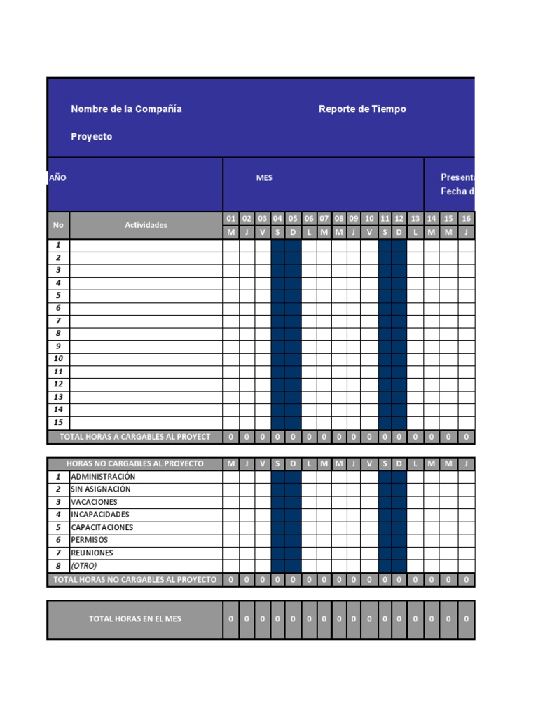 Modelo Reporte de Tiempo de Auditoria Empleado | PDF