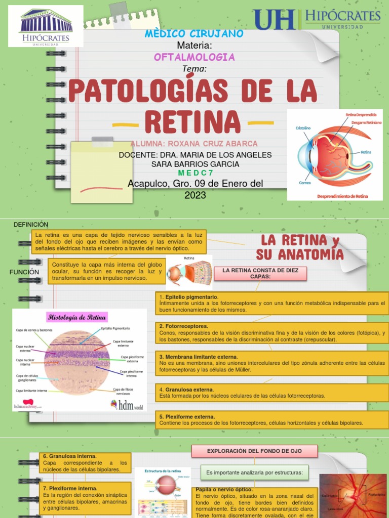 Patologias de La Retina | PDF | Retina | Percepción visual