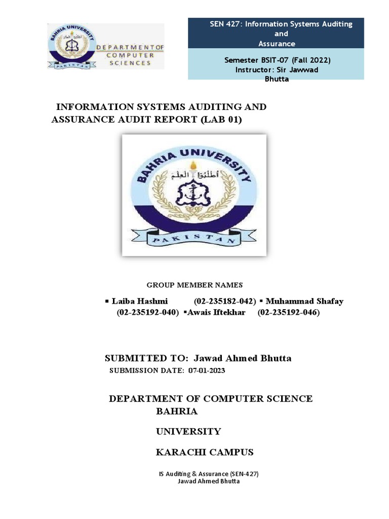 Audit Lab Ass | PDF | Audit | Computer Security