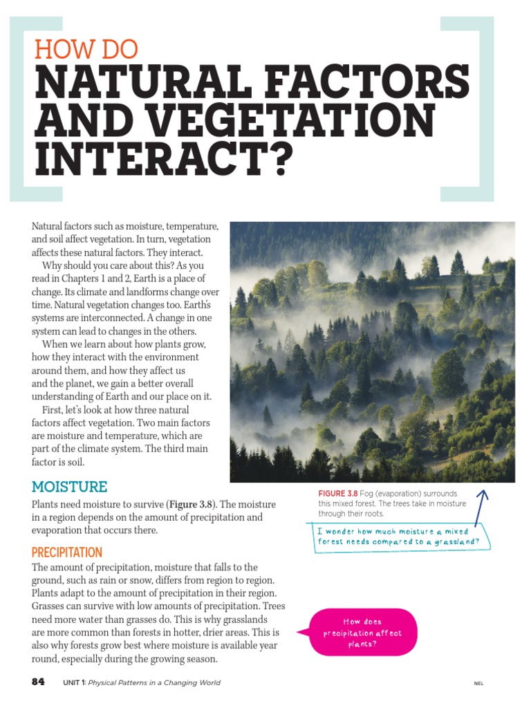 Natural Vegetation Section 2 | PDF | Soil | Forests