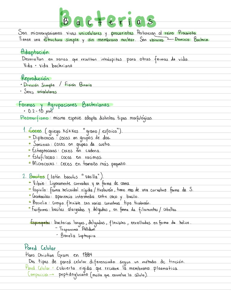 BACTERIAS | PDF | Las bacterias | Organismos