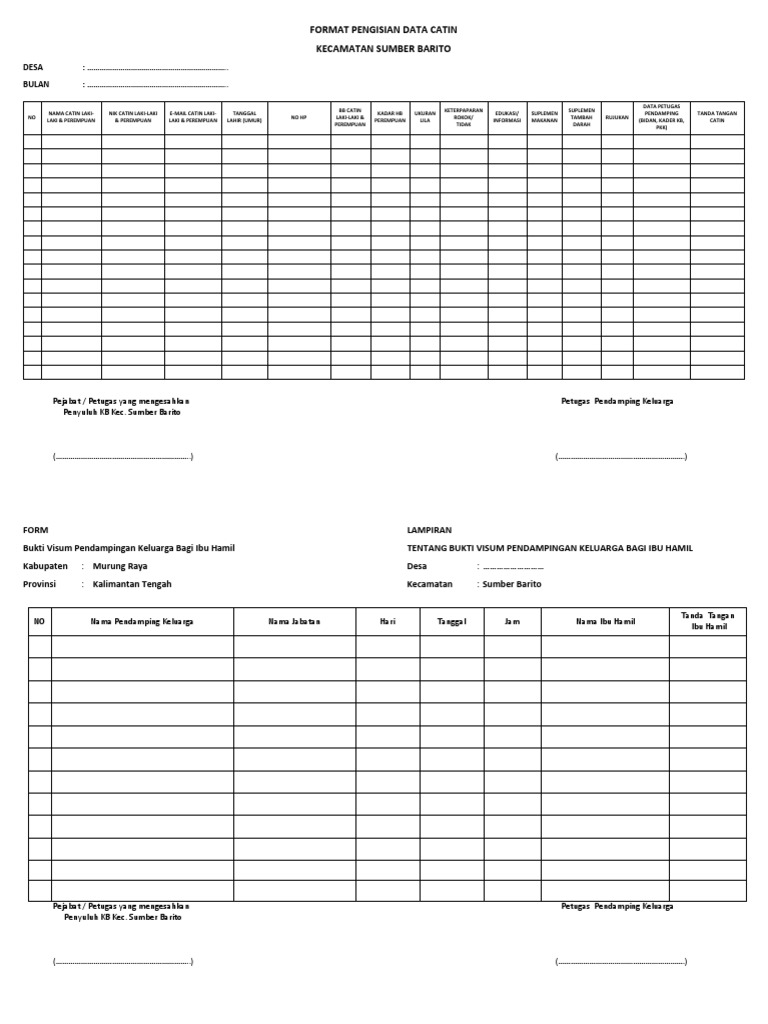 FORMAT PENGISIAN DATA CATIN Kec. Sumber Barito | PDF