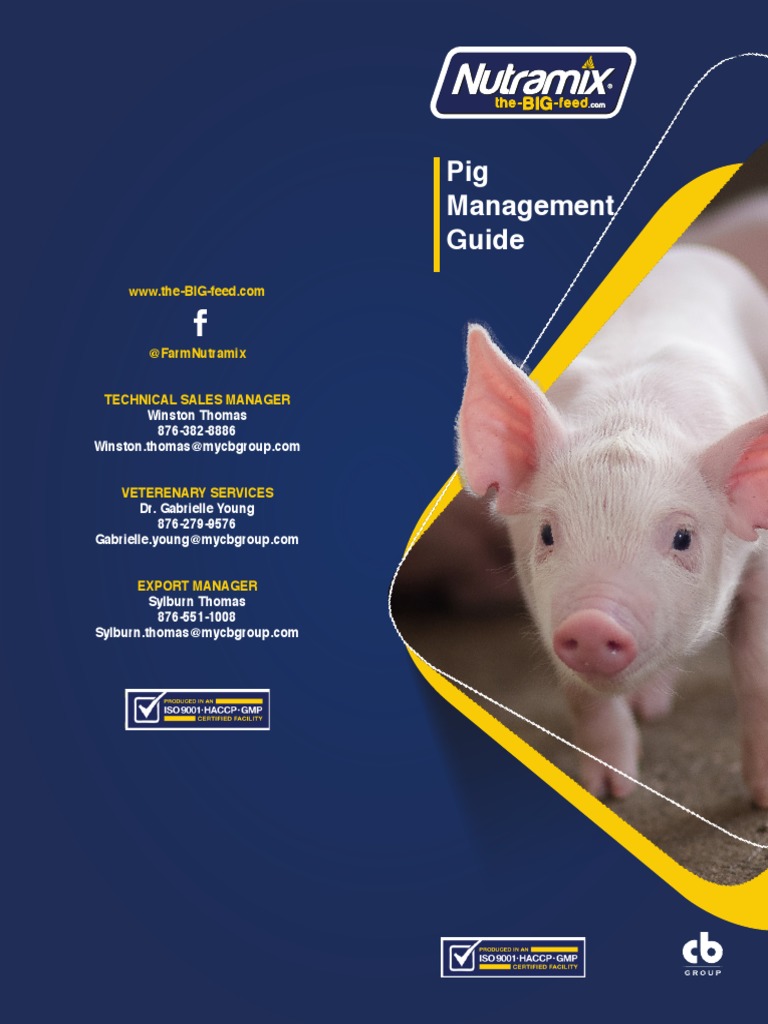 Pig Farming Management Guide | PDF | Pig | Selective Breeding