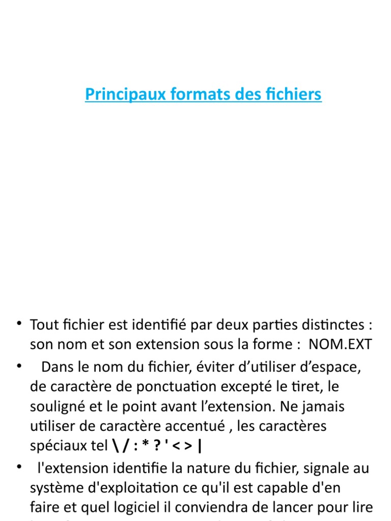Format Des Fichier - Traitement de Texte | PDF | Microsoft Word | Adobe ...