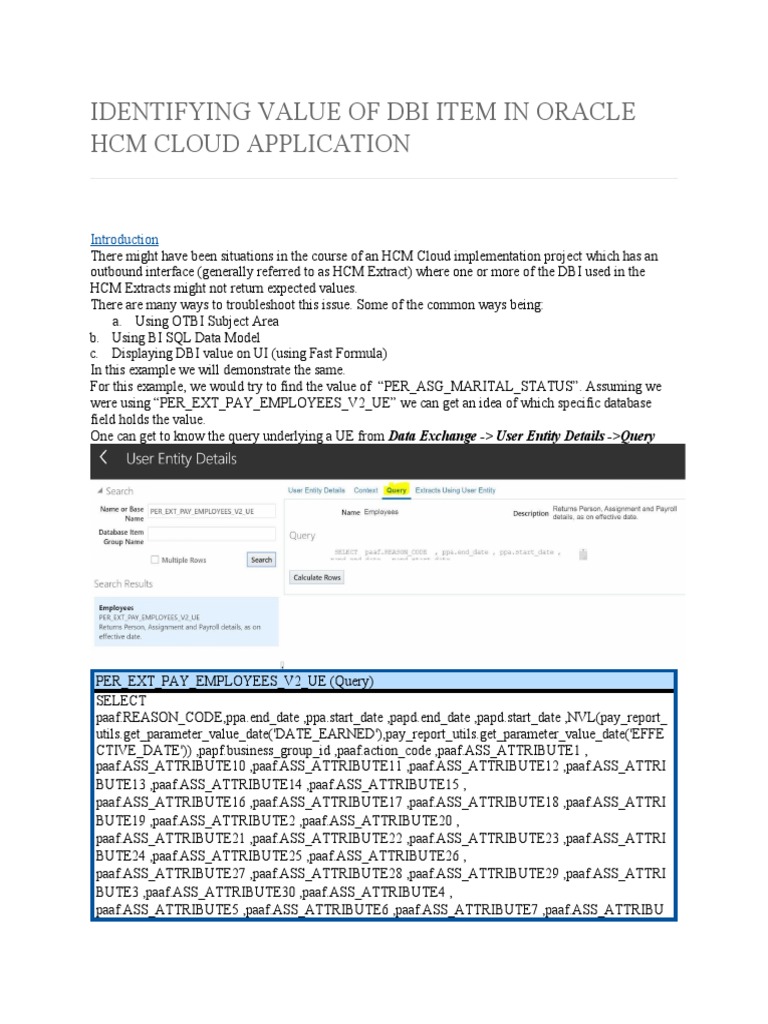 Identifying Value of Dbi Item in Oracle HCM Cloud Application | PDF | Information Science ...