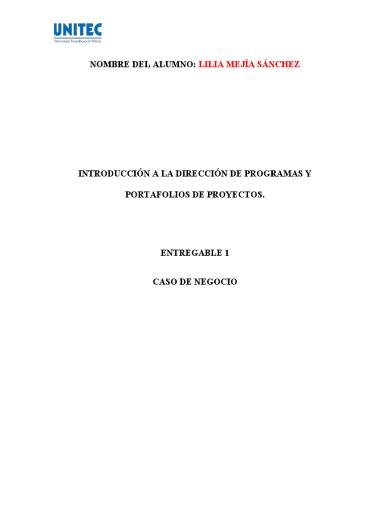 Formato de Entrega Entregable 1 Mejía Sánchez Lilia | PDF | Planificación | Business