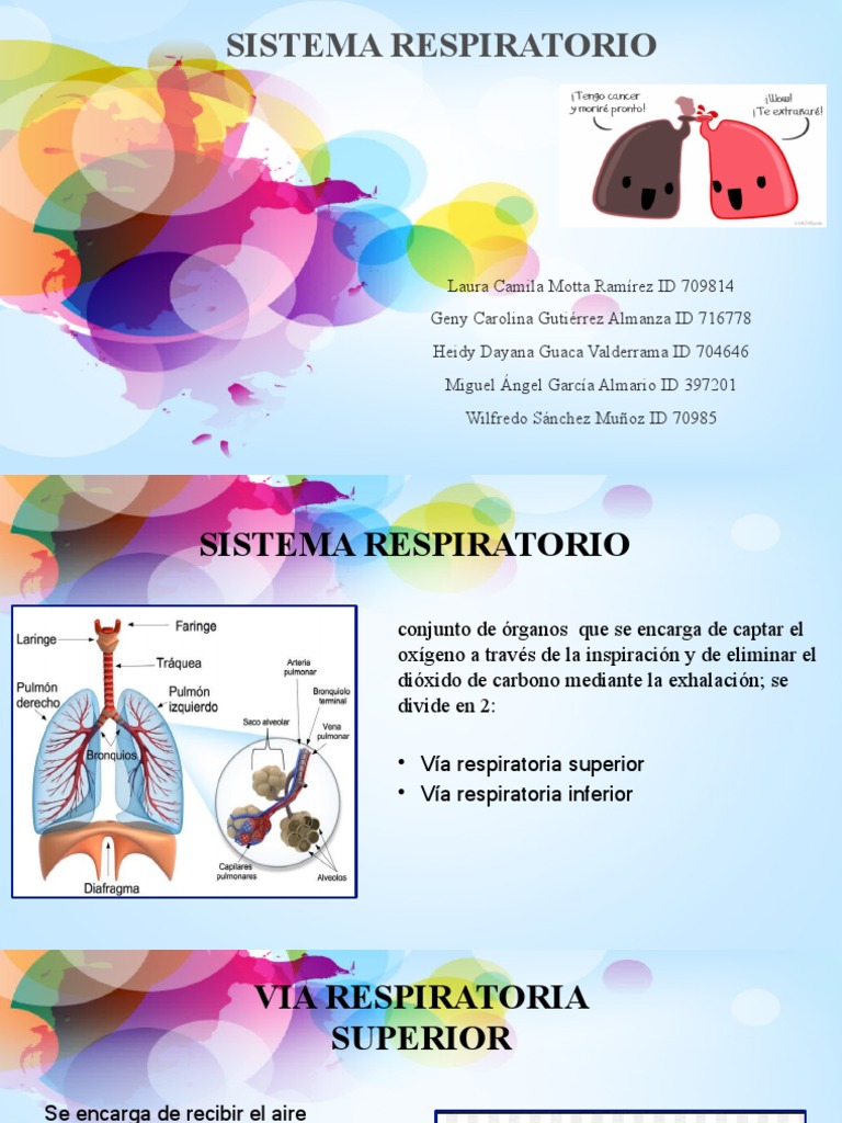 Sistema Respiratorio | Descargar gratis PDF | Sistema respiratorio | Pulmón