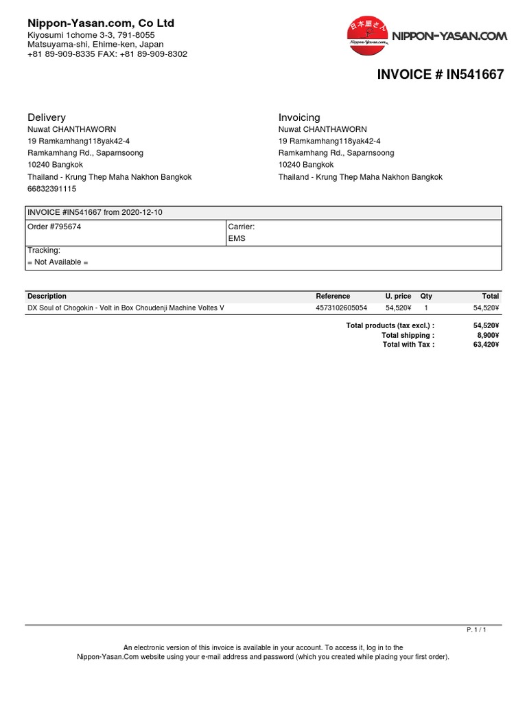 INVOICE # IN541667: Delivery Invoicing | PDF