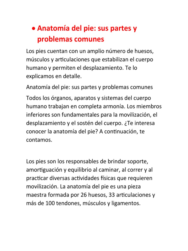 Anatomia Del Píe | PDF | Pie | Sistema musculoesquelético