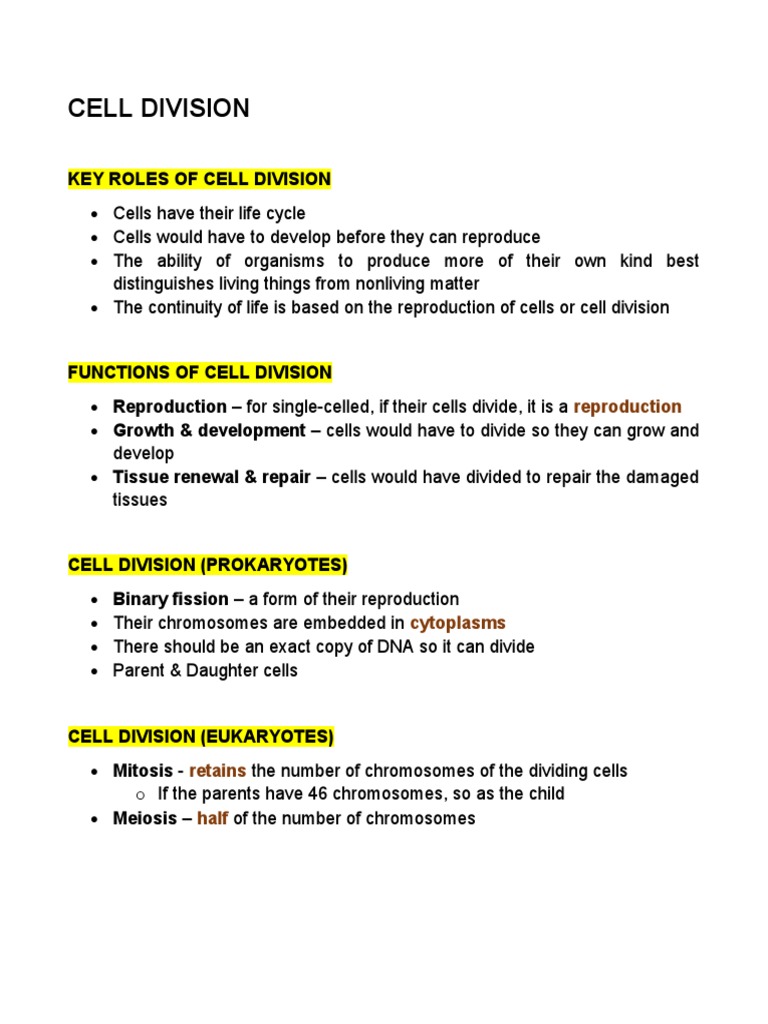 Cell Division | PDF | Mitosis | Chromosome