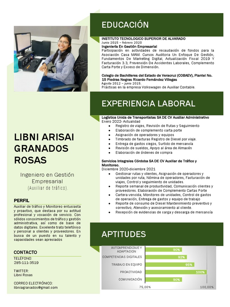 CV Libni-1 | PDF | Business | Economias