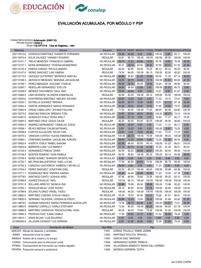 Evaluación Acumulada, Por Módulo Y PSP | PDF
