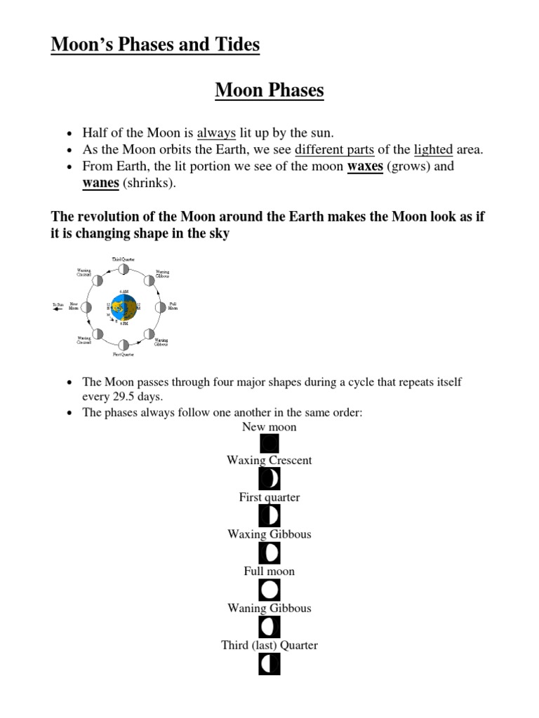 Moon Phases and Their Tide Effects | PDF | Tide | Moon