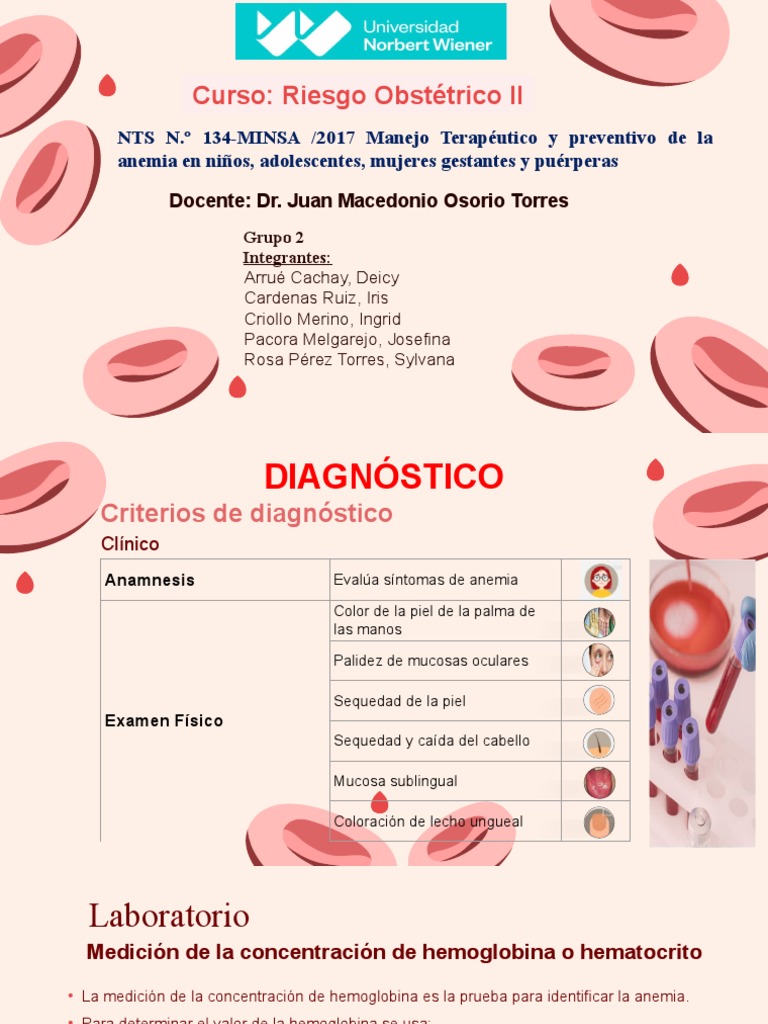 Grupo 2 - Diagnóstico de Anemia | PDF | Anemia | Ciencias de la Salud